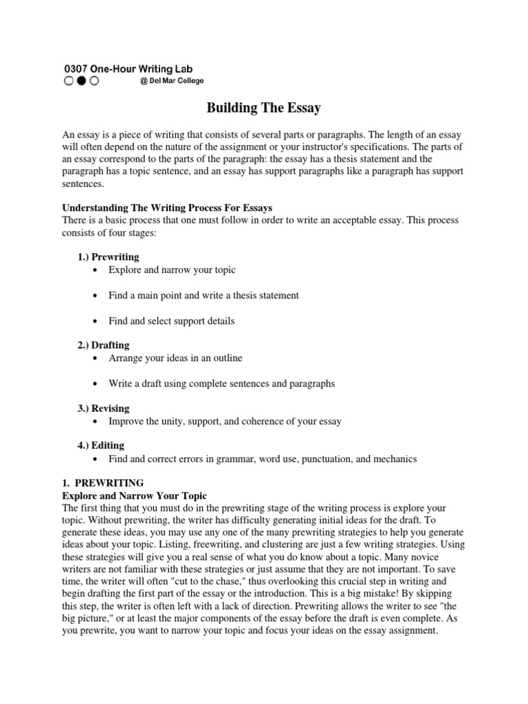 Building The Essay: Understanding The Writing Process For Essays ...