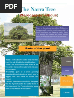 Philippine Units of Measurements | PDF | Weight | Measurement