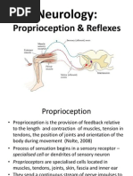 Reflex Arc Flow Chart | PDF | Central Nervous System | Nervous System