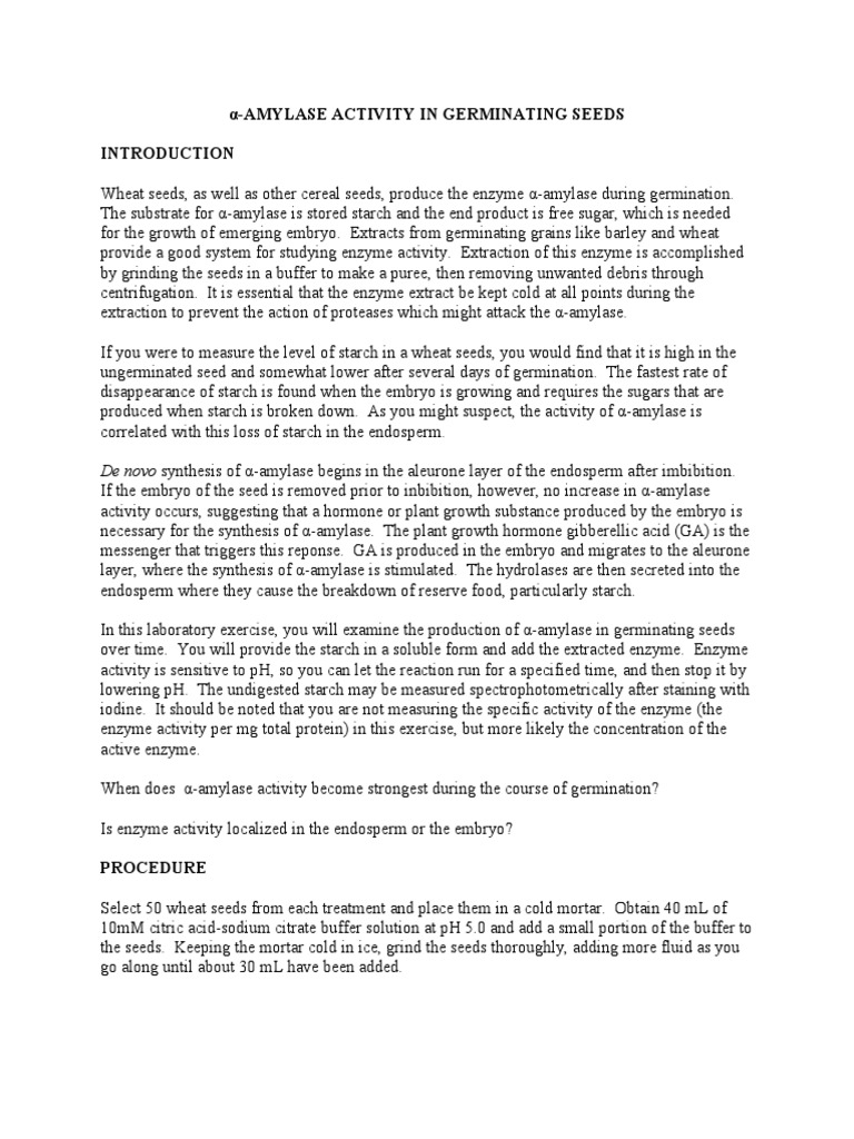 Amylase Lab | PDF | Seed | Starch