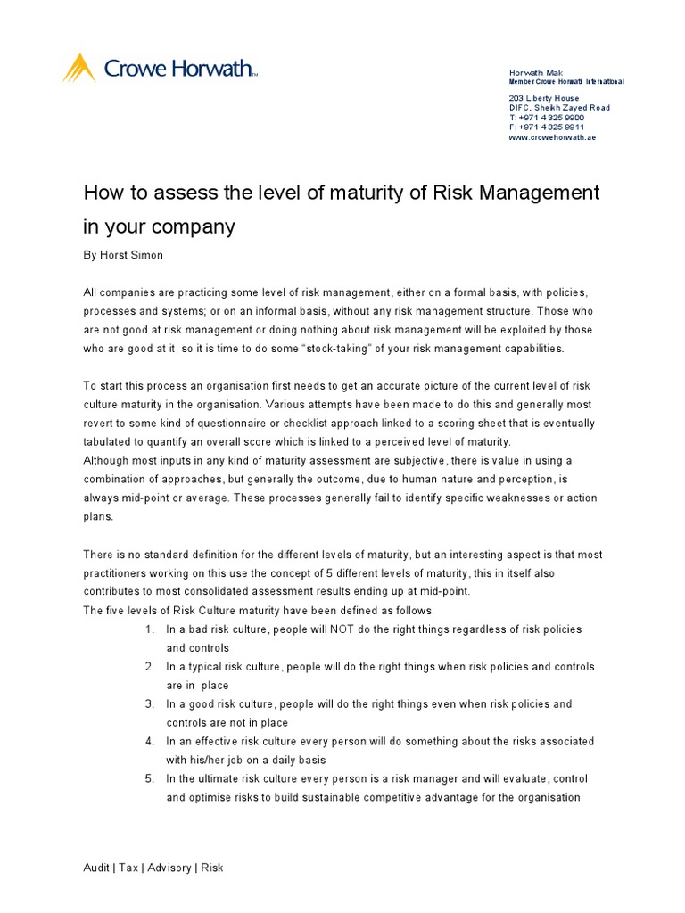 How To Assess Risk Maturity | PDF