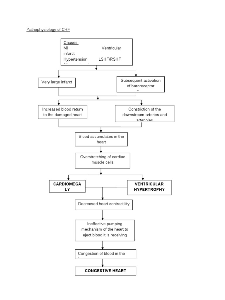 Pathophysiology of CHF