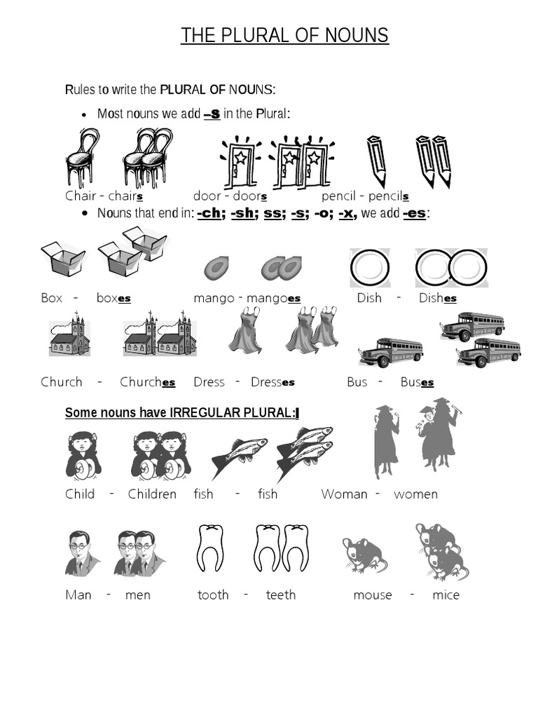 Rules for Forming Plural Nouns | PDF