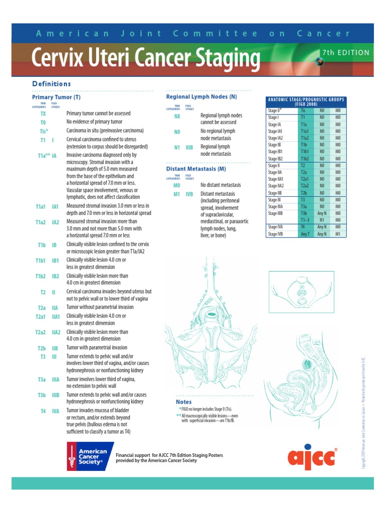 Cervix Uteri Cancer Staging: American Joint Committee On Cancer | PDF ...
