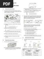 T2 G 603 Labelling A River Activity Sheet | PDF
