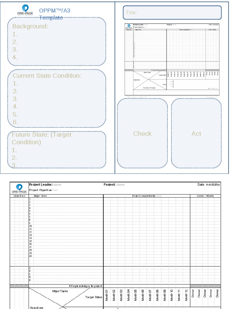 OPPM A3 Template | PDF