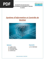 Histoire et définition du contrôle de gestion | PDF | Économie | Business