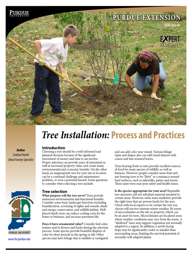 Tree Planting Details Process | Download Free PDF | Trees | Pruning