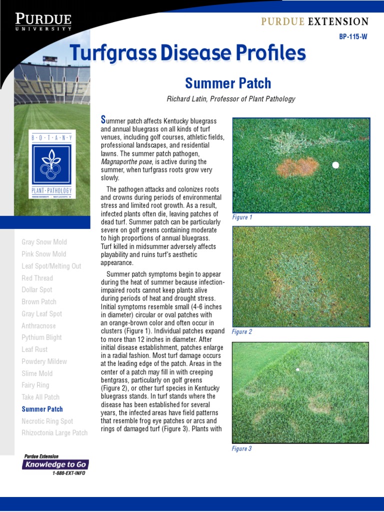 Turfgrass Disease Profiles | PDF | Lawn | Fungicide
