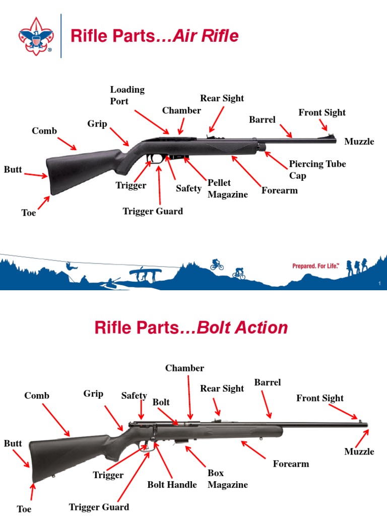 Rifle | Rifle | Trigger (Firearms)