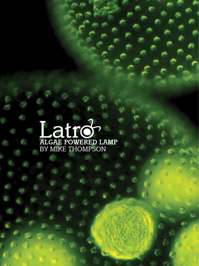 Algae Powered Lamp by Mike Thompson | PDF | Photosynthesis | Chemistry