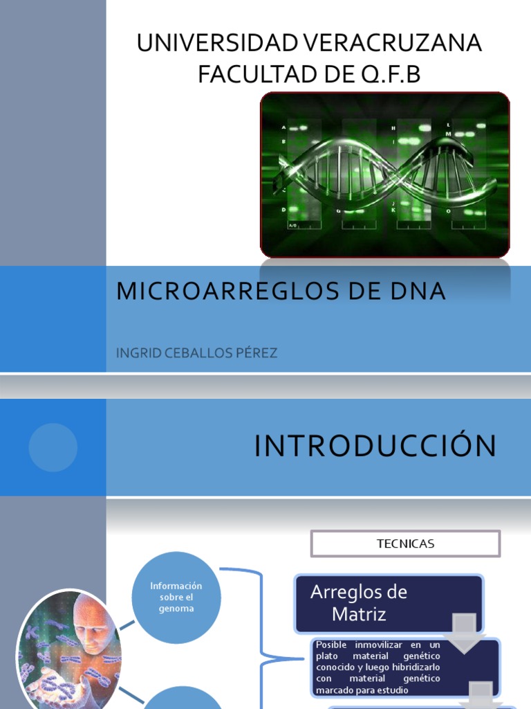 microarreglos de Dna | Adn Microarray | Polimorfismo de nucleótido simple