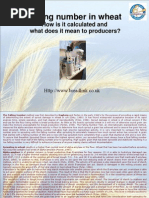 Glutomatic System: Operation Manual | PDF | Flour | Gluten