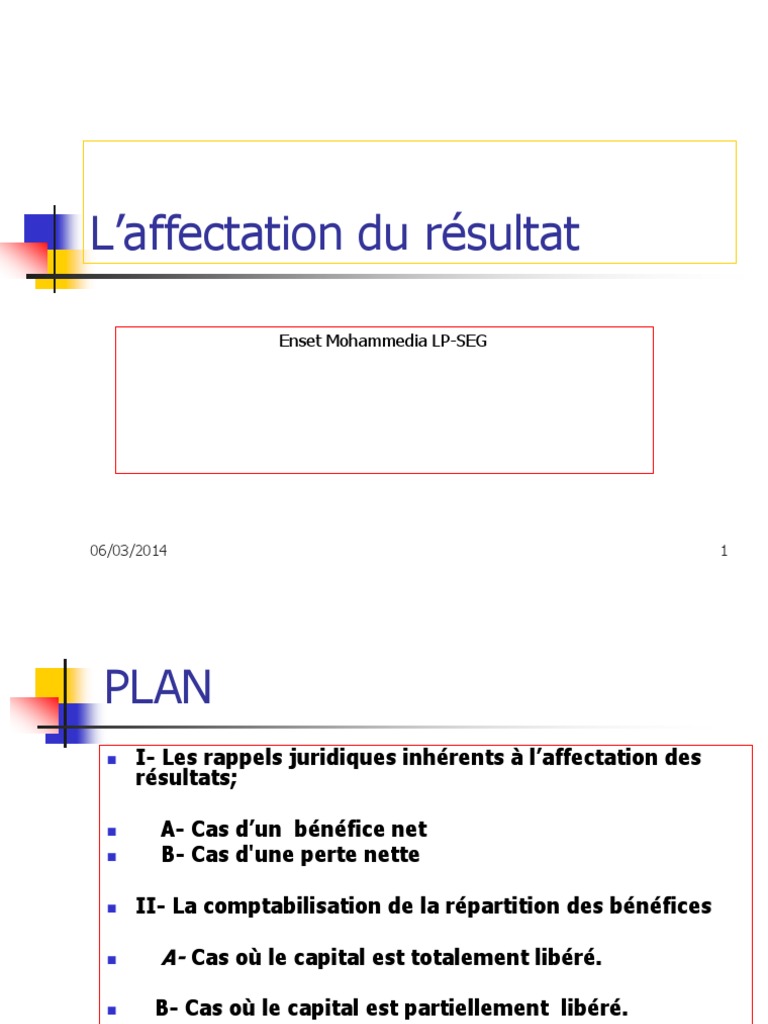L'affectation Du Résultat | PDF | Dividende | Actionnaire