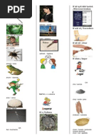 El Ayotl, La Marimba Instrumentos Autoctonos. | PDF | Instrumentos ...