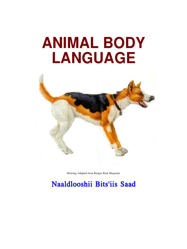 Animal Body Language | PDF | Cats | Dogs