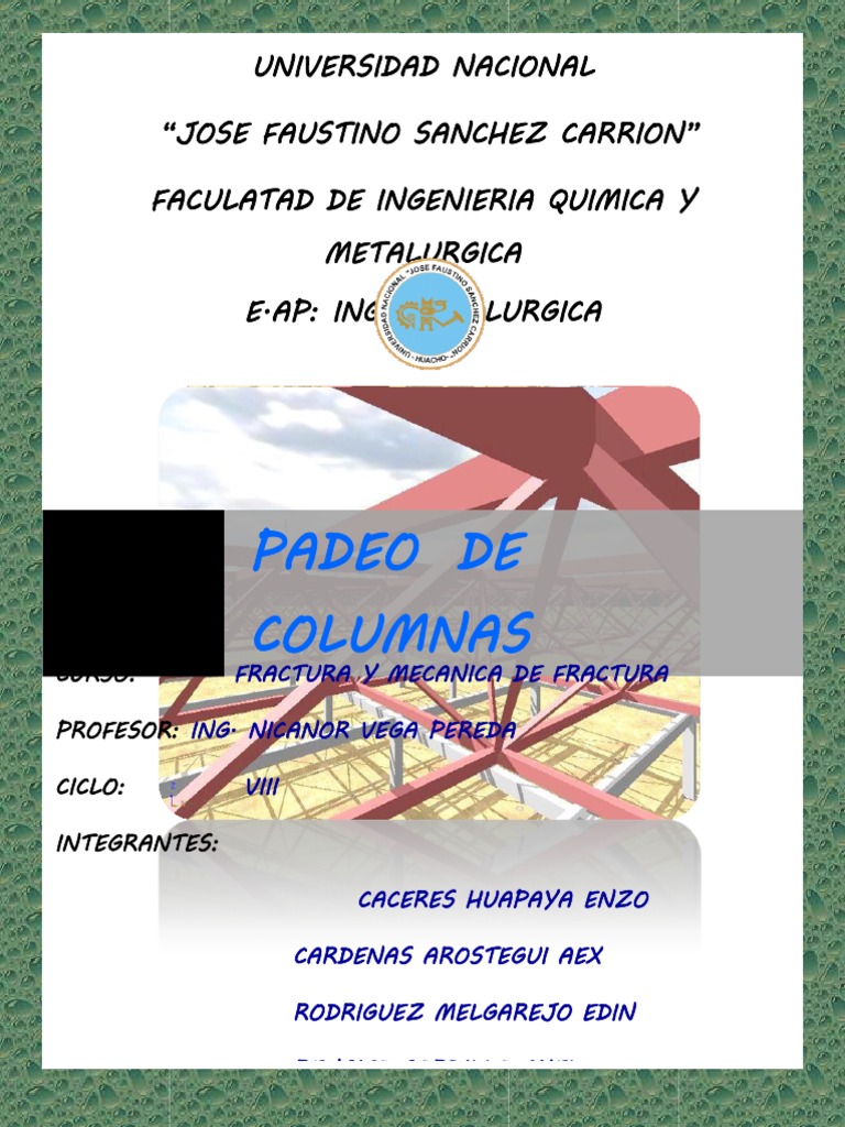 Pandeo de Columnas | PDF | Pandeo | Elasticidad (Física)