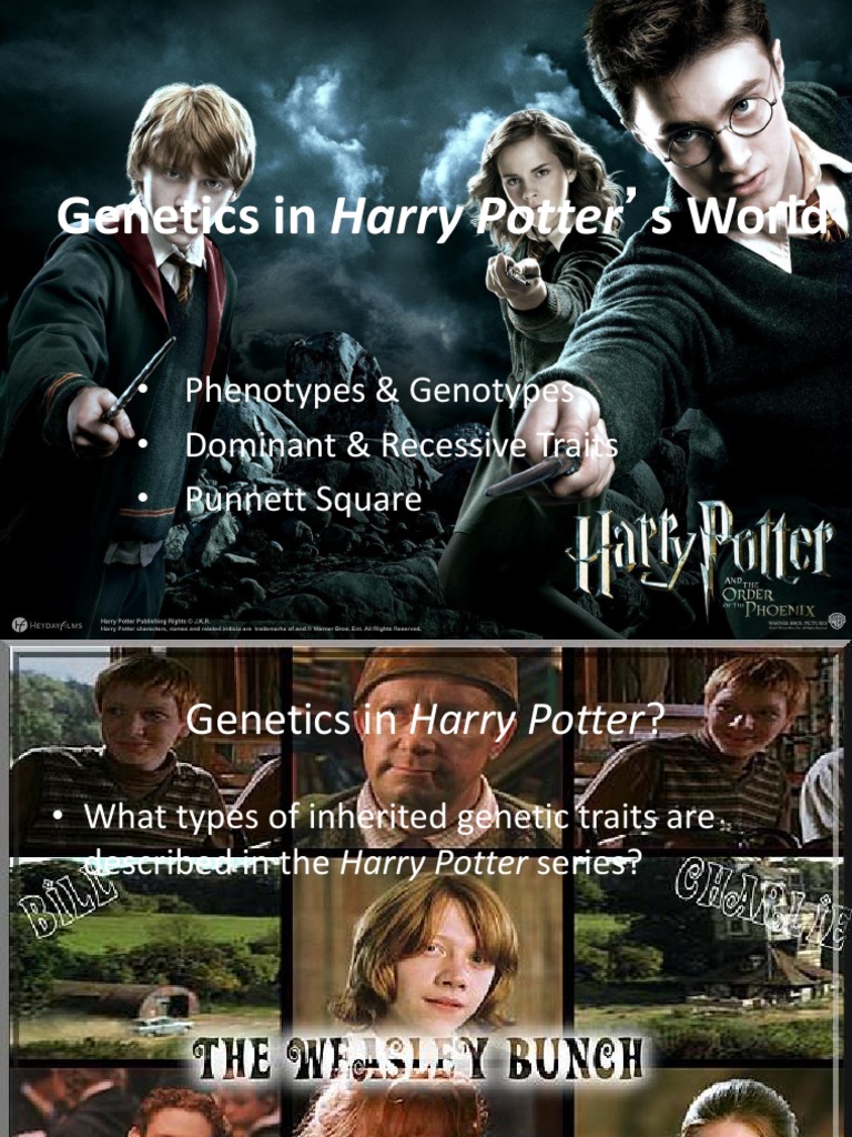 Genetics of Harry Potter Characters | PDF | Dominance (Genetics) | Allele