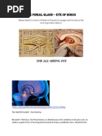 Brain Anatomy Mnemonics Guide | PDF | Brain | Anatomy