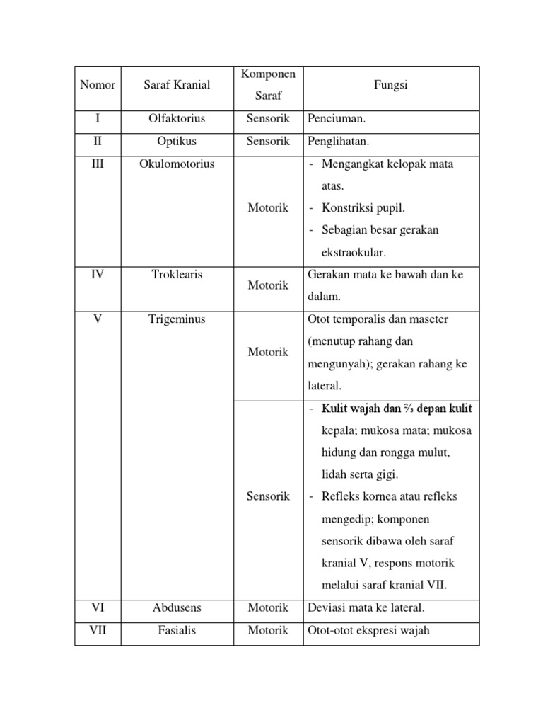 Saraf Kranial | PDF
