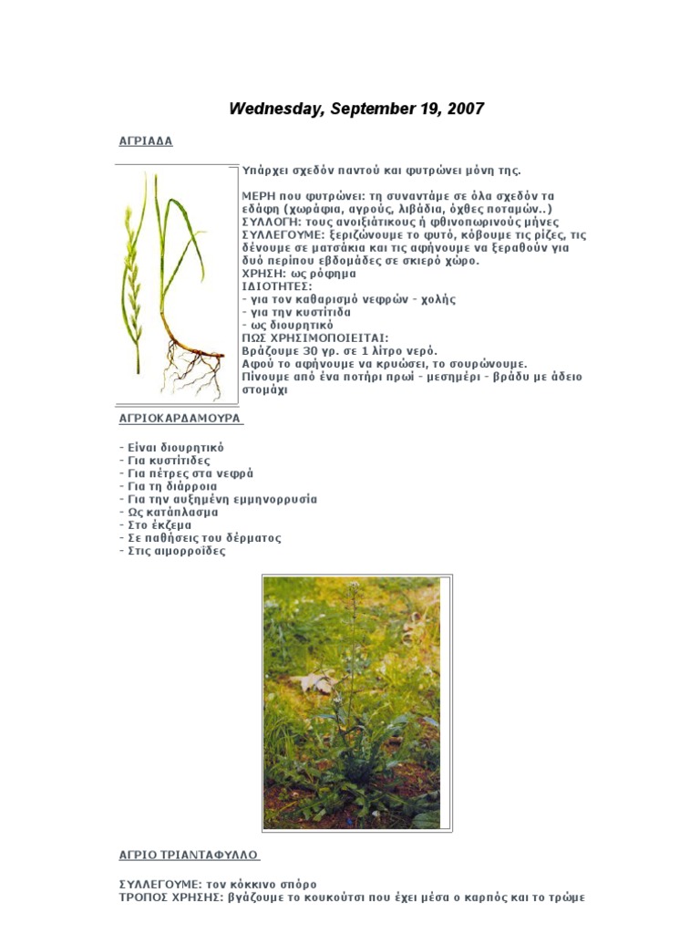 ΒΟΤΑΝΑ | PDF
