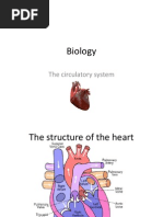 Blood and Circulation, iGCSE Biology | PDF | Circulatory System ...