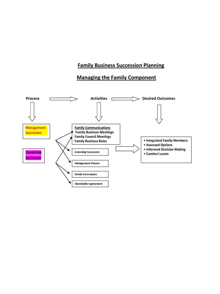 Family Business Succession Strategies | PDF
