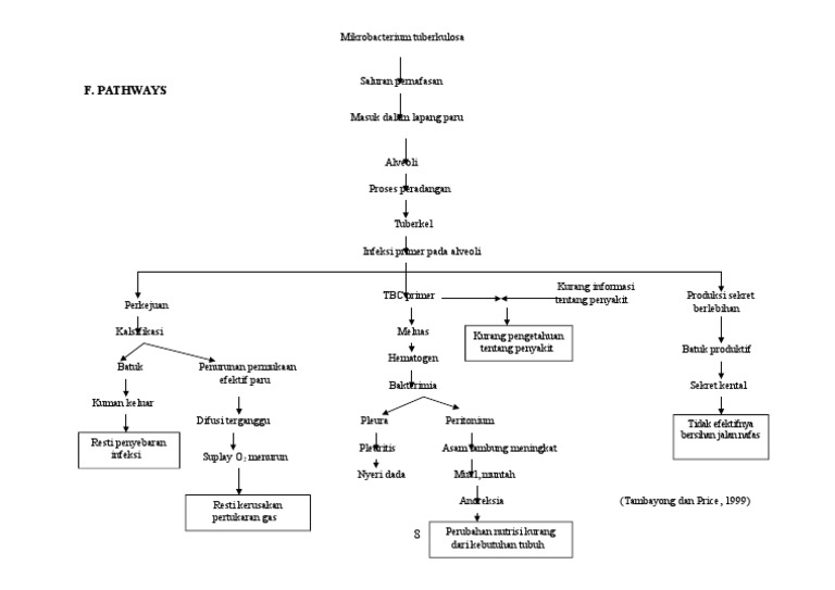 Patofisiologi dan Pathway TBC Paru | PDF