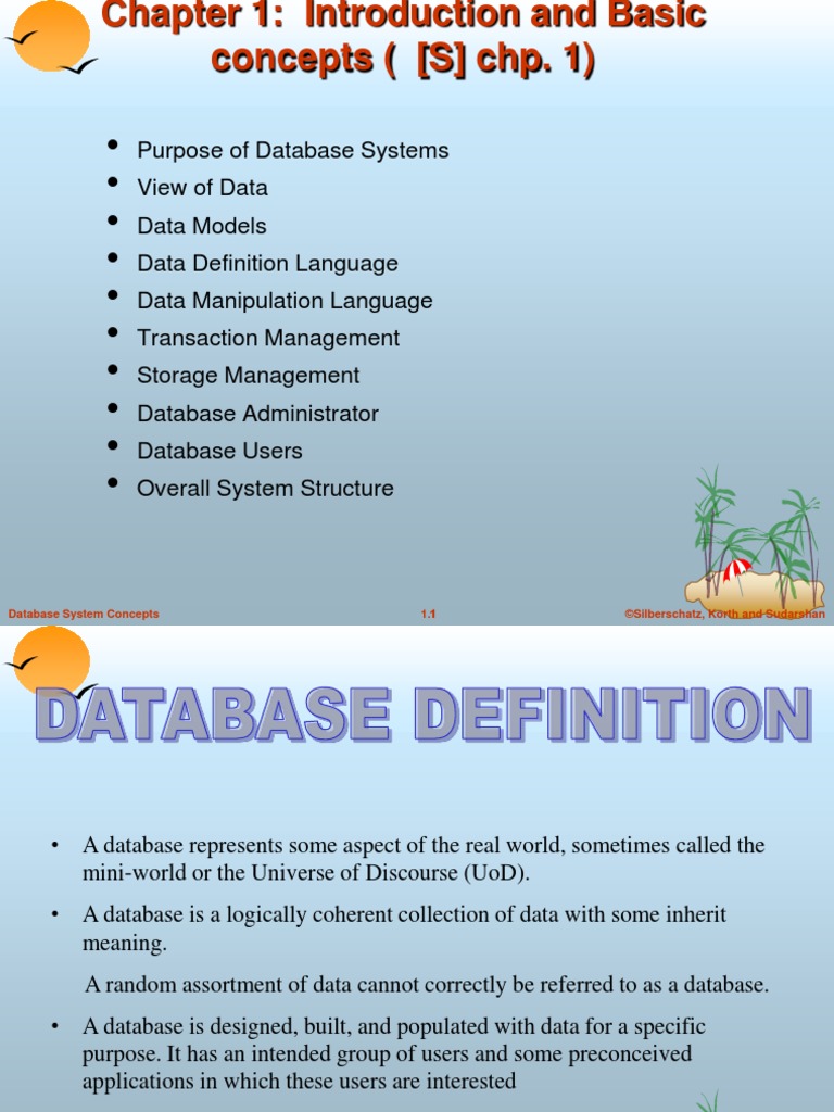 ©silberschatz, Korth and Sudarshan 1. 1 Database System Concepts | PDF
