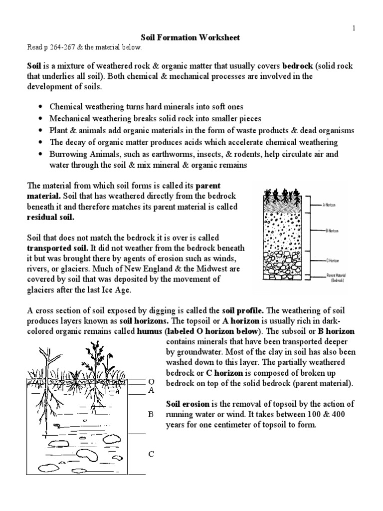 Soil Formation Worksheet SEcnoN 7.3 Formation Of Soil