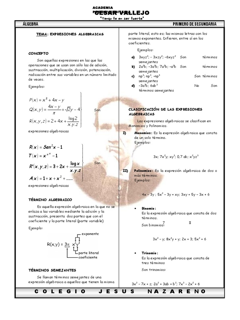 Libro 1° Algebra | PDF