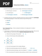 Genetics Packet Answer Key | PDF | Dominance (Genetics) | Genotype