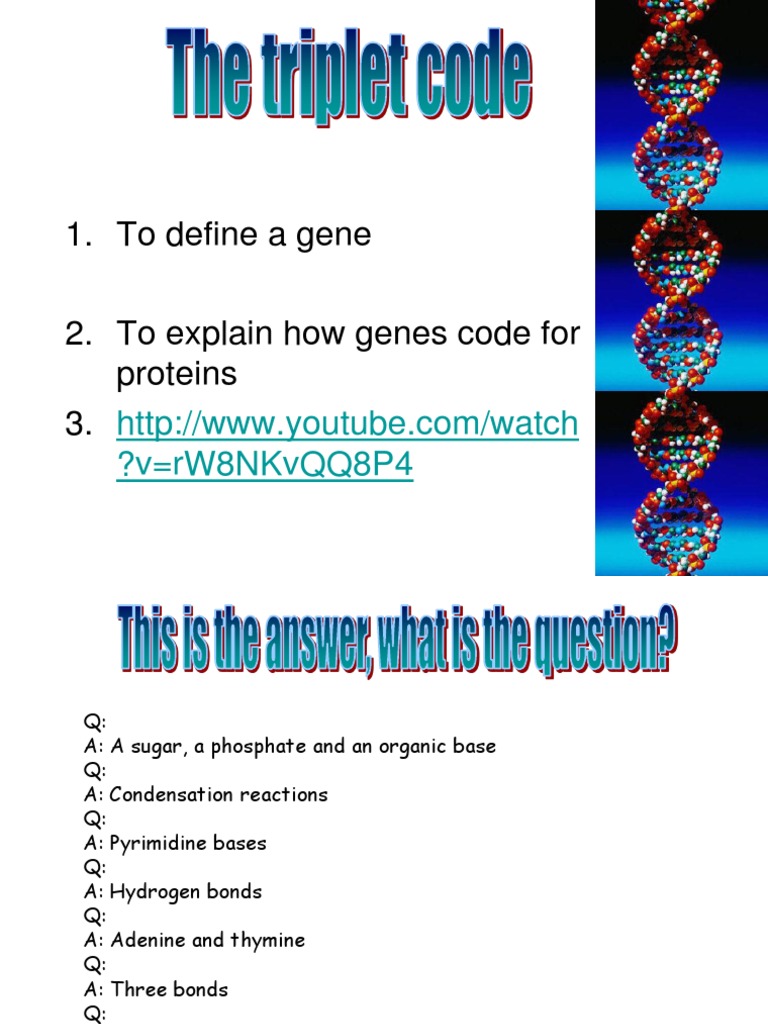 Triplet Code1 | Download Free PDF | Genetic Code | Translation (Biology)