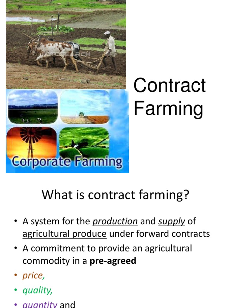 Contract Farming | PDF | Farmer | Agriculture