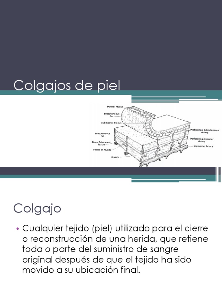 Colgajos de Piel | PDF | Abdomen | Términos anatómicos de ubicación