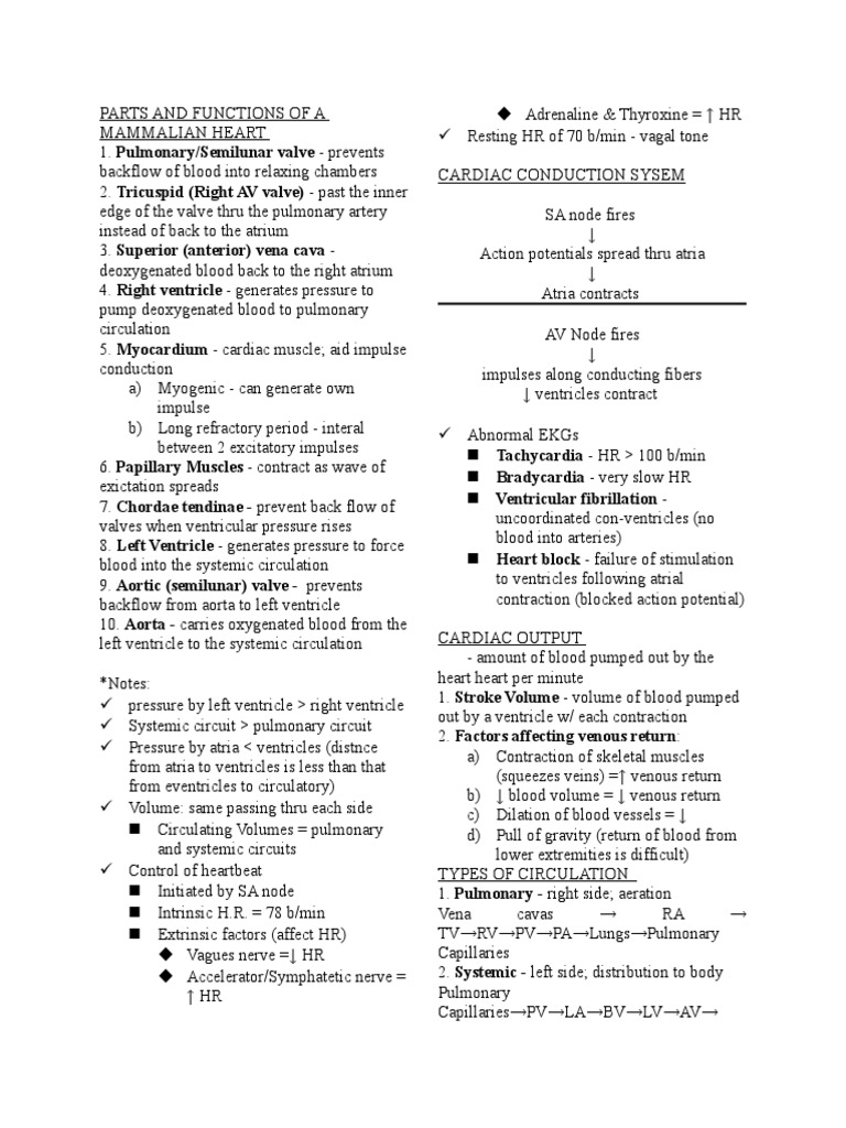Bio 22 Lab 1/2 Circulatory System | PDF | Teaching Methods & Materials