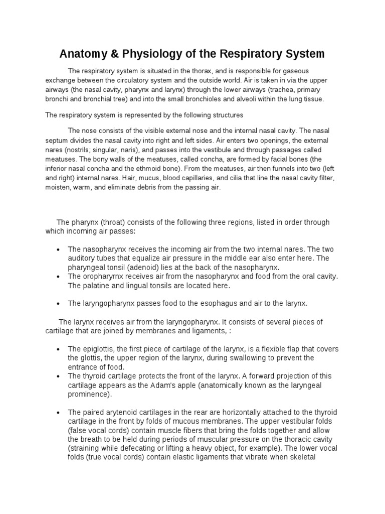 Anatomy and Physiology of Respiratory System | Respiratory Tract | Lung