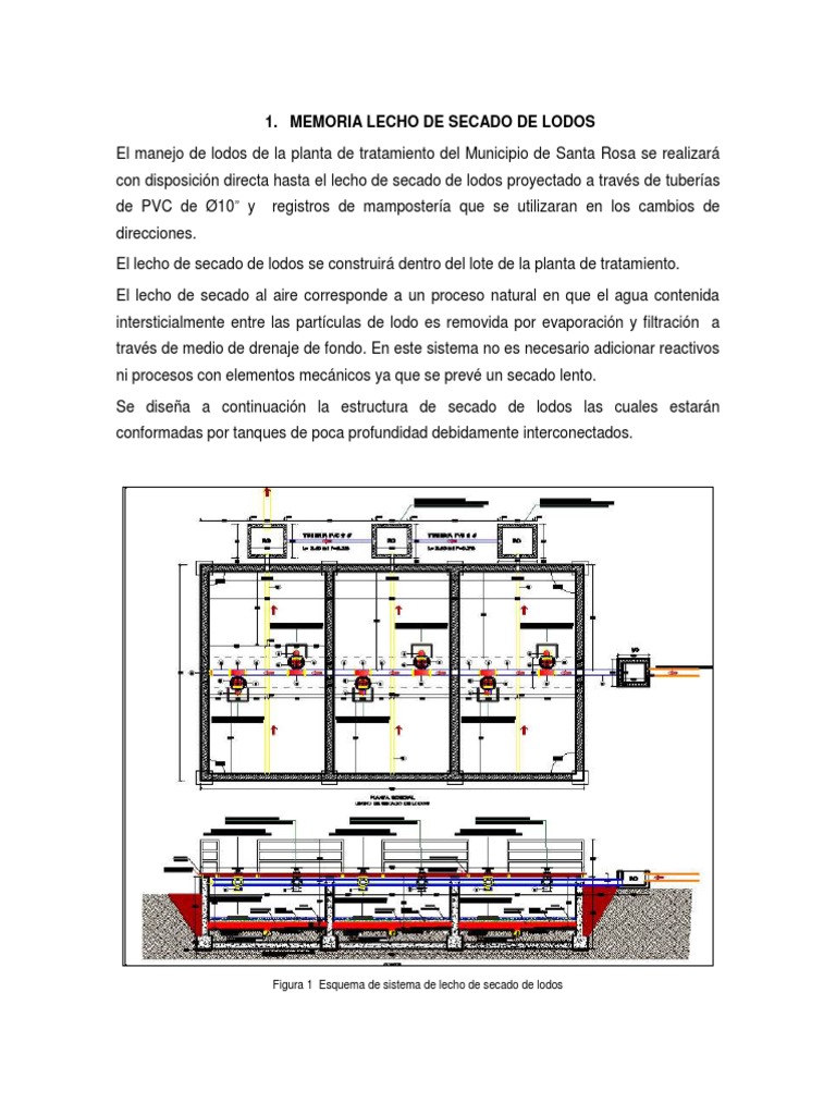 Lecho de Secado | PDF | Densidad | Filtración
