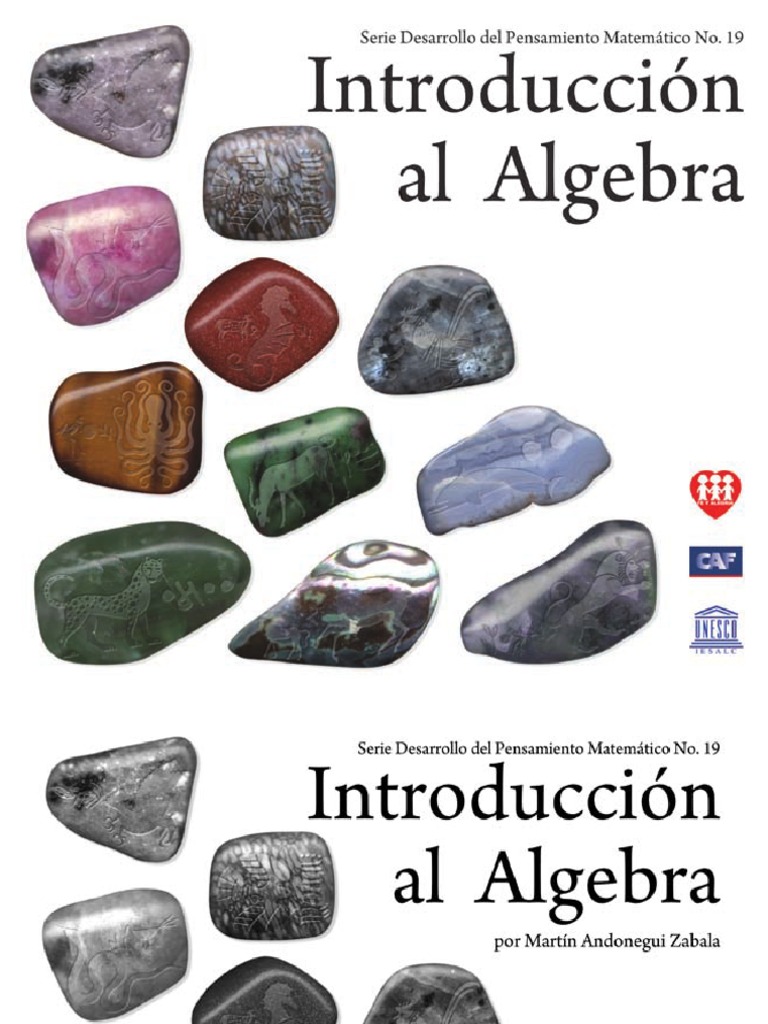 Introducción Al Algebra | PDF | Multiplicación | Ecuaciones