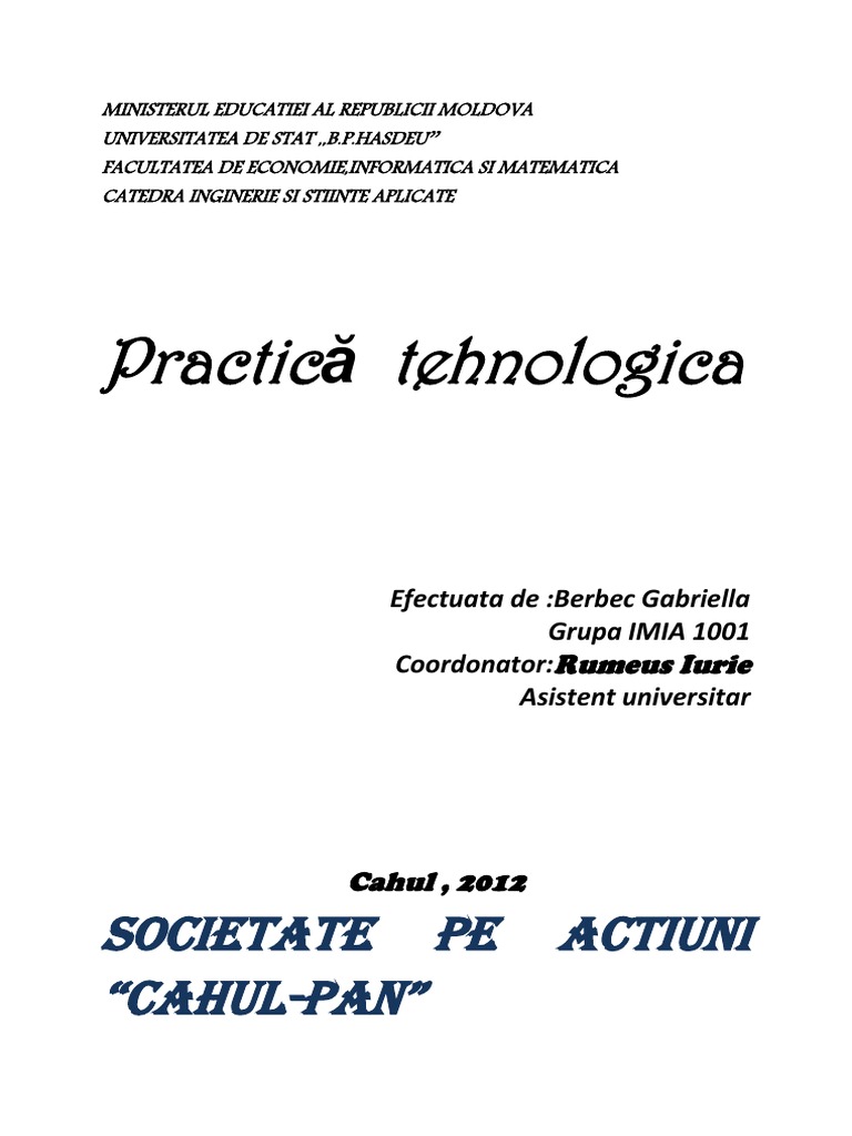 Practica de Licenta | PDF