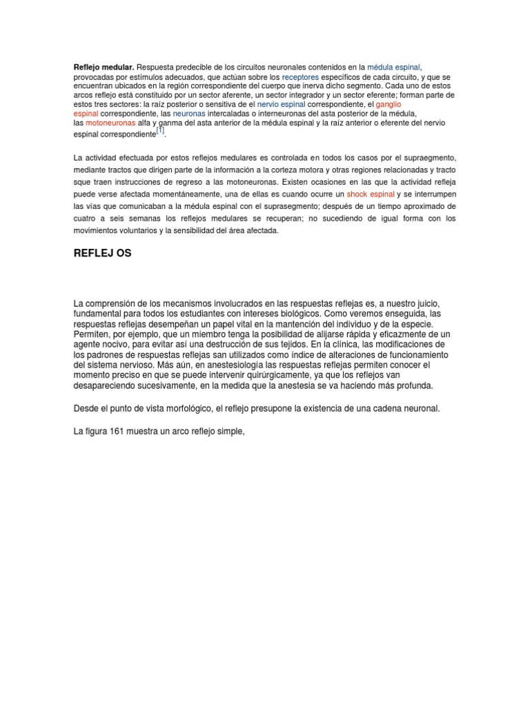Reflejo Medular | PDF | Ciencia y matemáticas