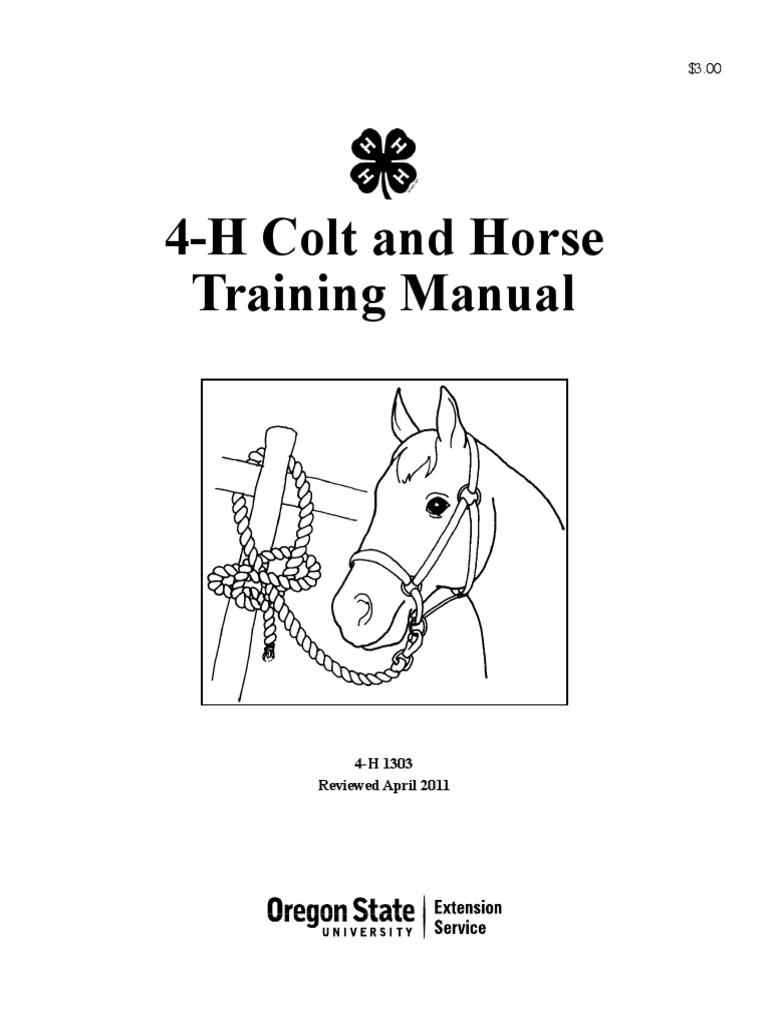 4-H Colt and Horse Training Manual | PDF