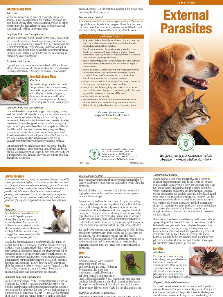 External Parasites Brochure | PDF | Veterinary Medicine | Animals And ...
