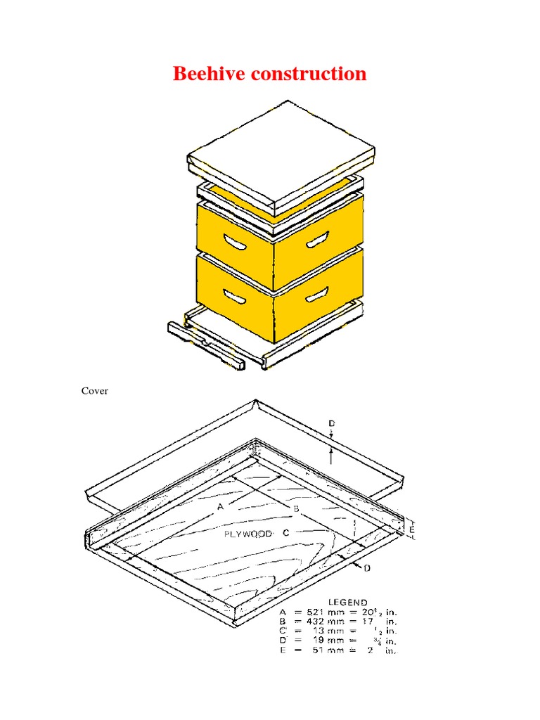 Bee Hive Construction | PDF