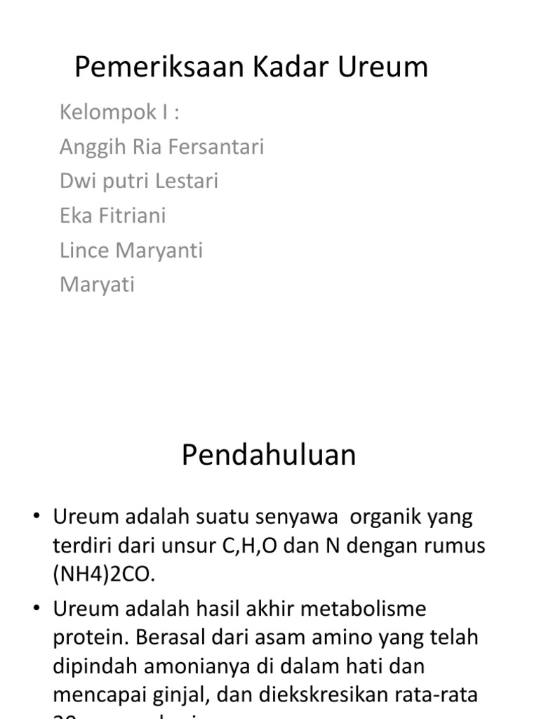 Pemeriksaan Kadar Ureum | PDF