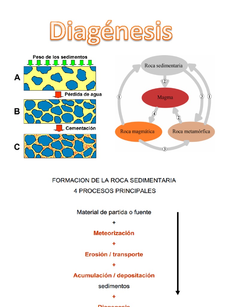 Procesos y Estados de Diagénesis | PDF