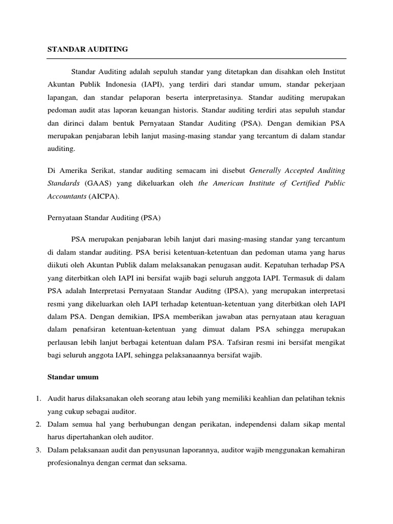 Panduan Standar Auditing IAPI | PDF