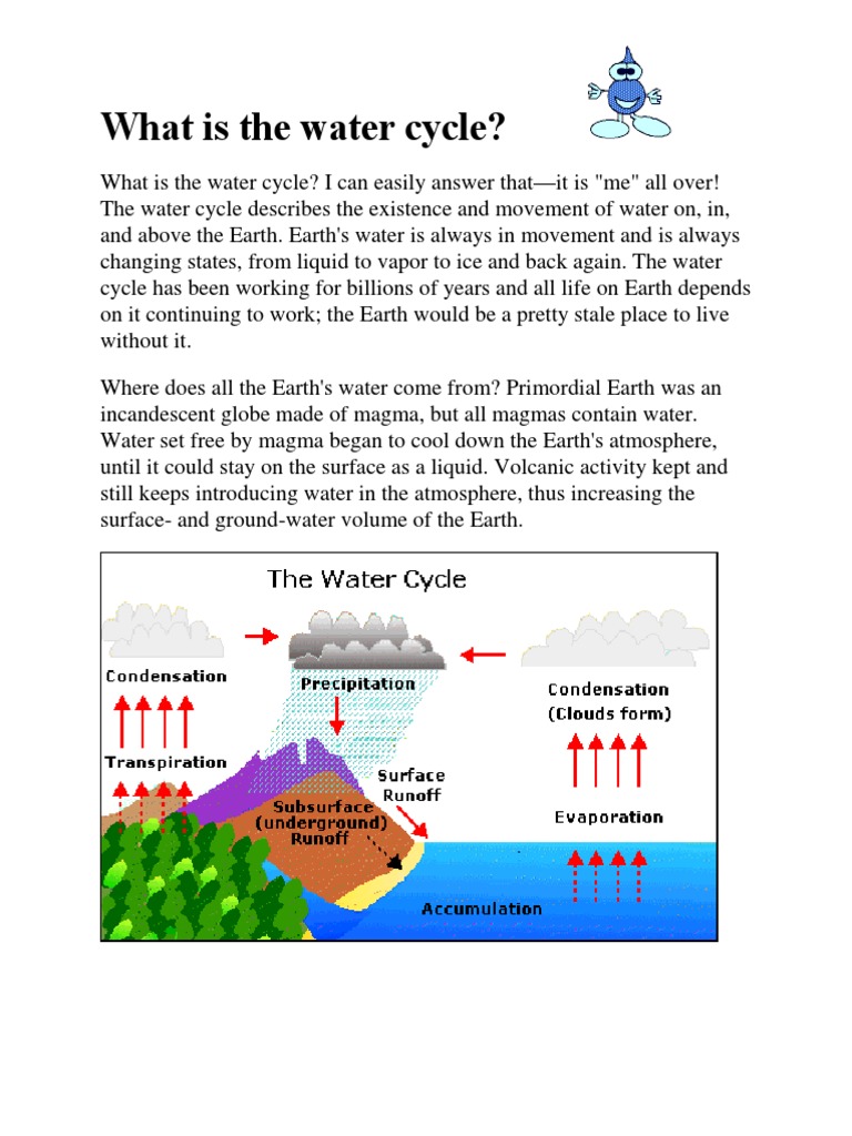 Water Cycle Informational Text | PDF | Water Cycle | Water Vapor