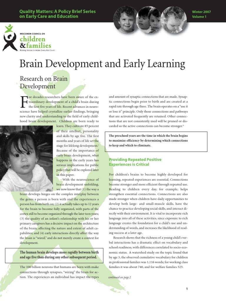 Brain Dev and Early Learning | PDF | Brain | Early Childhood Education