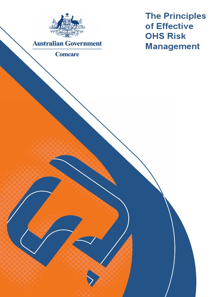 The Principles of Effective OHS Risk Management OHS 61 Dec05 | PDF ...